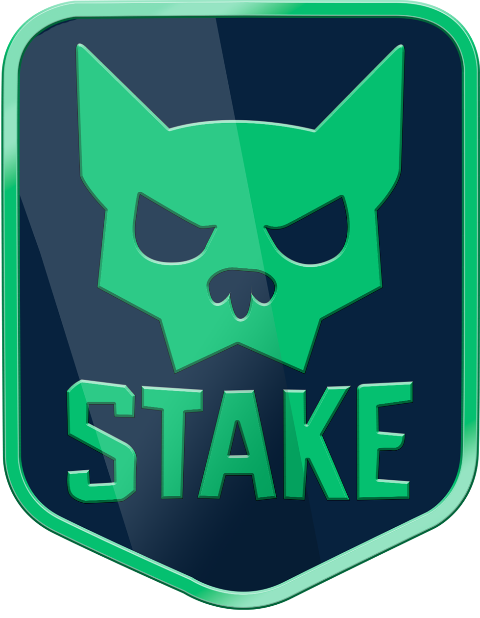 Stake Token